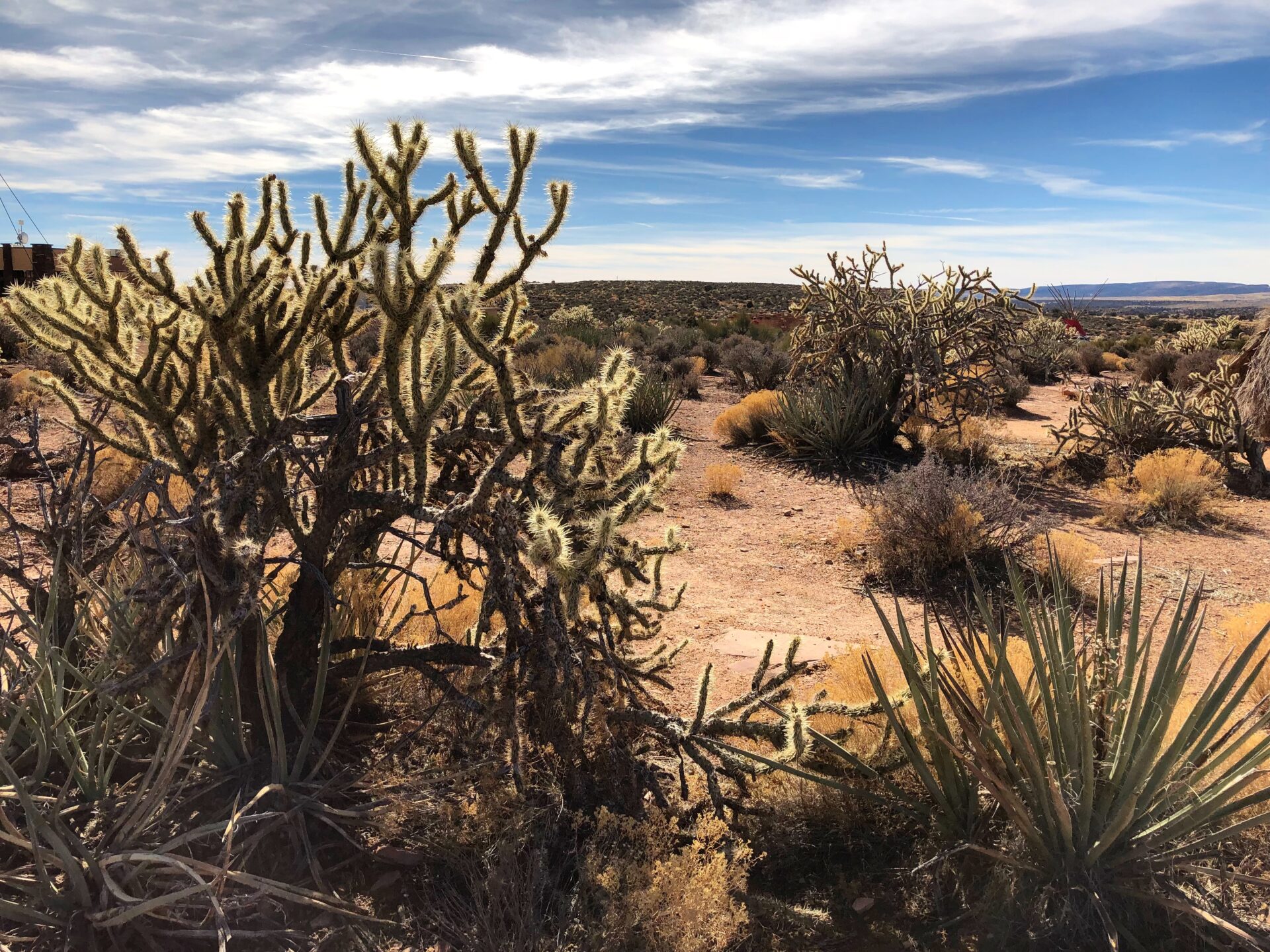 Photos to Inspire You to Visit Grand Canyon, Arizona - Roads and ...