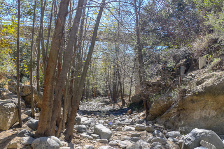 Eaton Canyon Falls Trail: Waterfall Hike in LA - Roads and Destinations