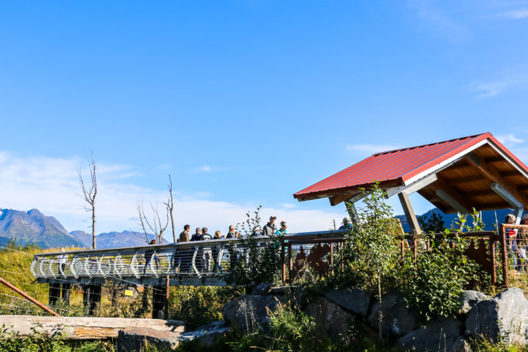 Visit the Alaska Wildlife Conservation Center. Yes, It's Worth It ...