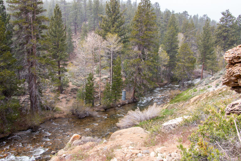 5 Best Places You Must Visit in Bridgeport, CA - Roads and Destinations