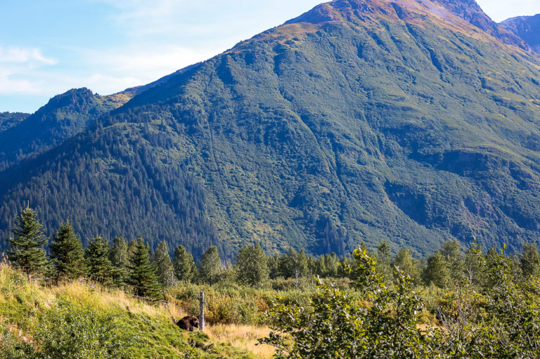 Visiting Williwaw Campground, Alaska - Roads and Destinations