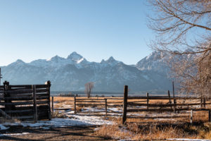 Visit Mormon Row: Everything You Need to Know - Roads and Destinations