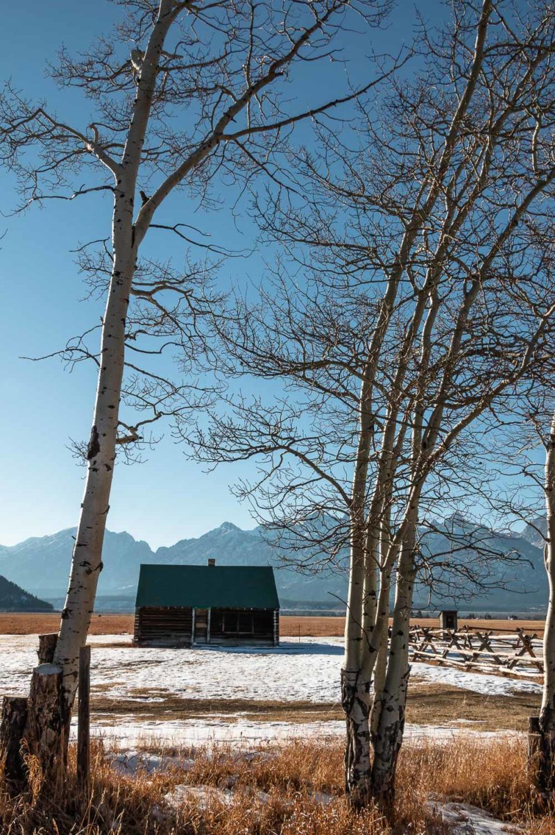 Visit Mormon Row: Everything You Need to Know - Roads and Destinations