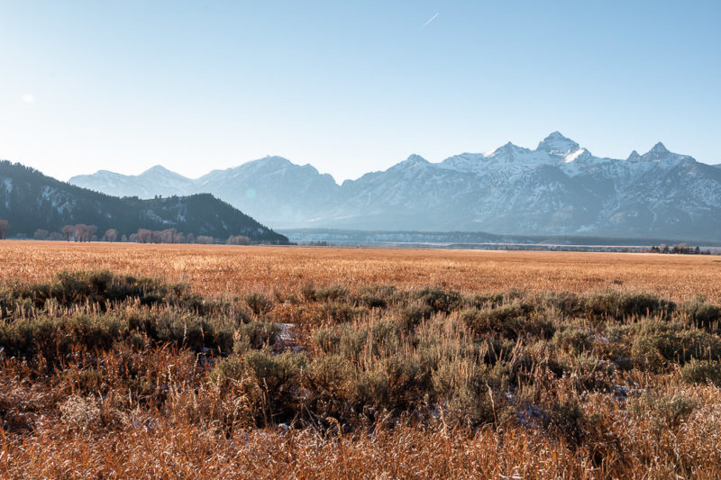 Visit Mormon Row: Everything You Need to Know - Roads and Destinations