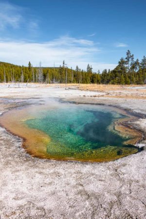 10 Interesting Facts about Yellowstone You Didn’t Know - Roads and ...
