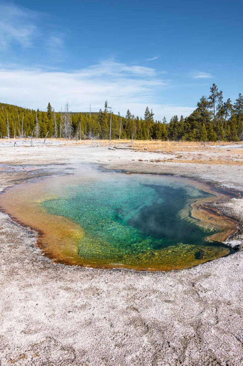 10 Interesting Facts about Yellowstone You Didn’t Know - Roads and ...