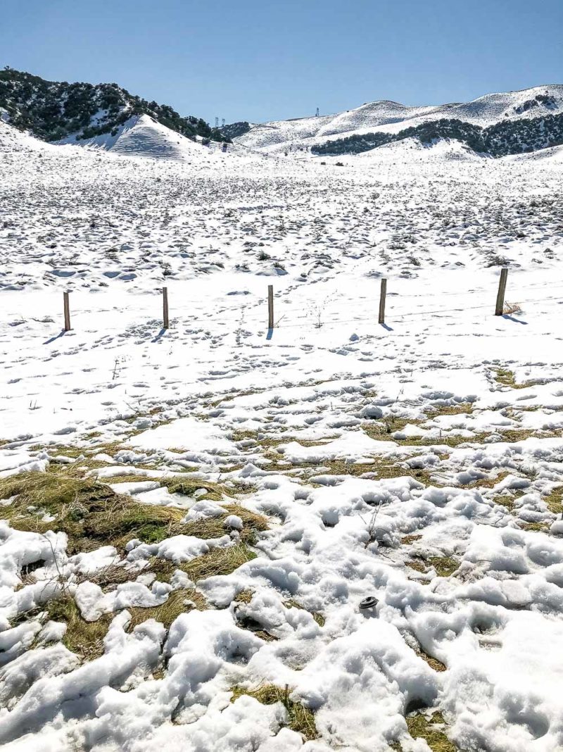 The 10 Best Places to Experience Snow in California - Roads and ...