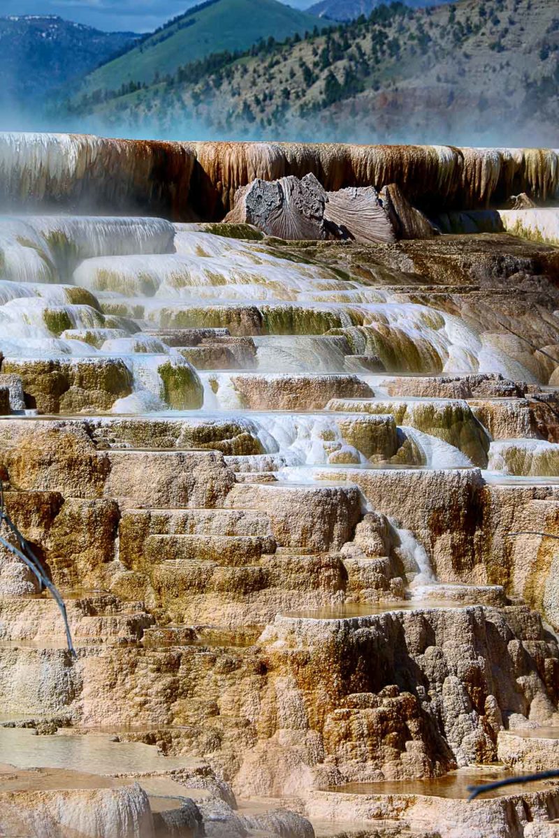 10 Things to Do in Yellowstone during Your First Visit - Roads and ...