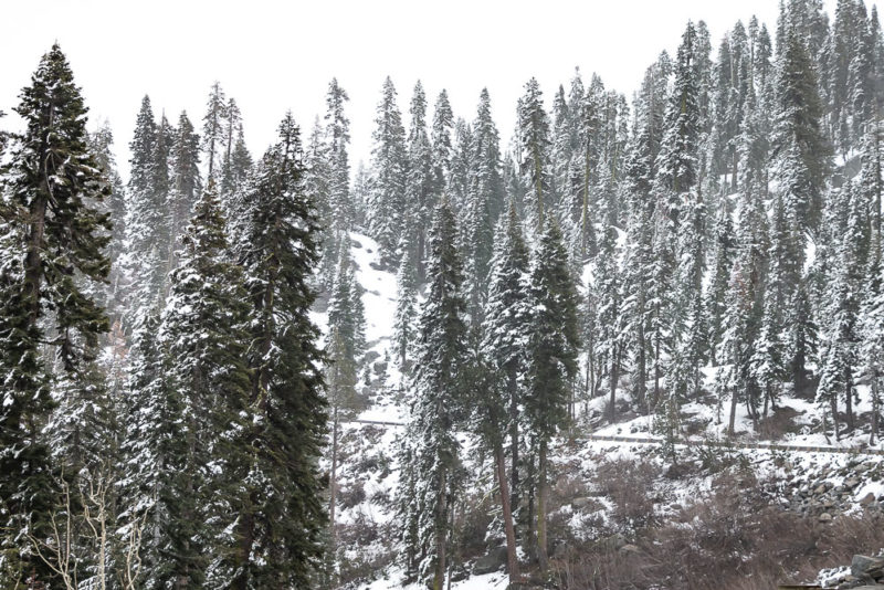 The 10 Best Places to Experience Snow in California - Roads and ...