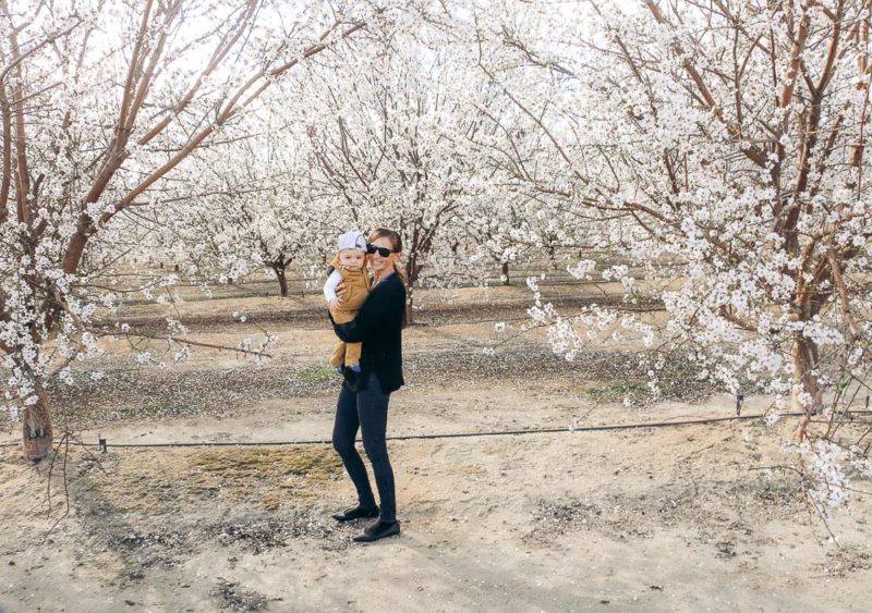 Where to Find the Best Blooming Almond Orchards in California - Roads ...
