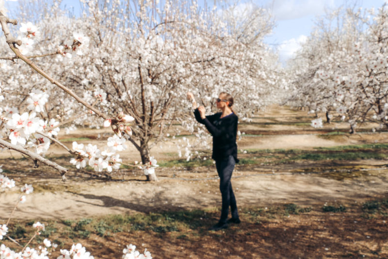Where to Find the Best Blooming Almond Orchards in California - Roads ...