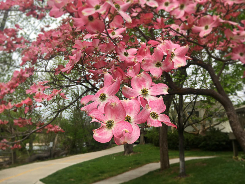 Visit Boise, Idaho: The Ultimate Guide for Budget Travelers - Roads and ...