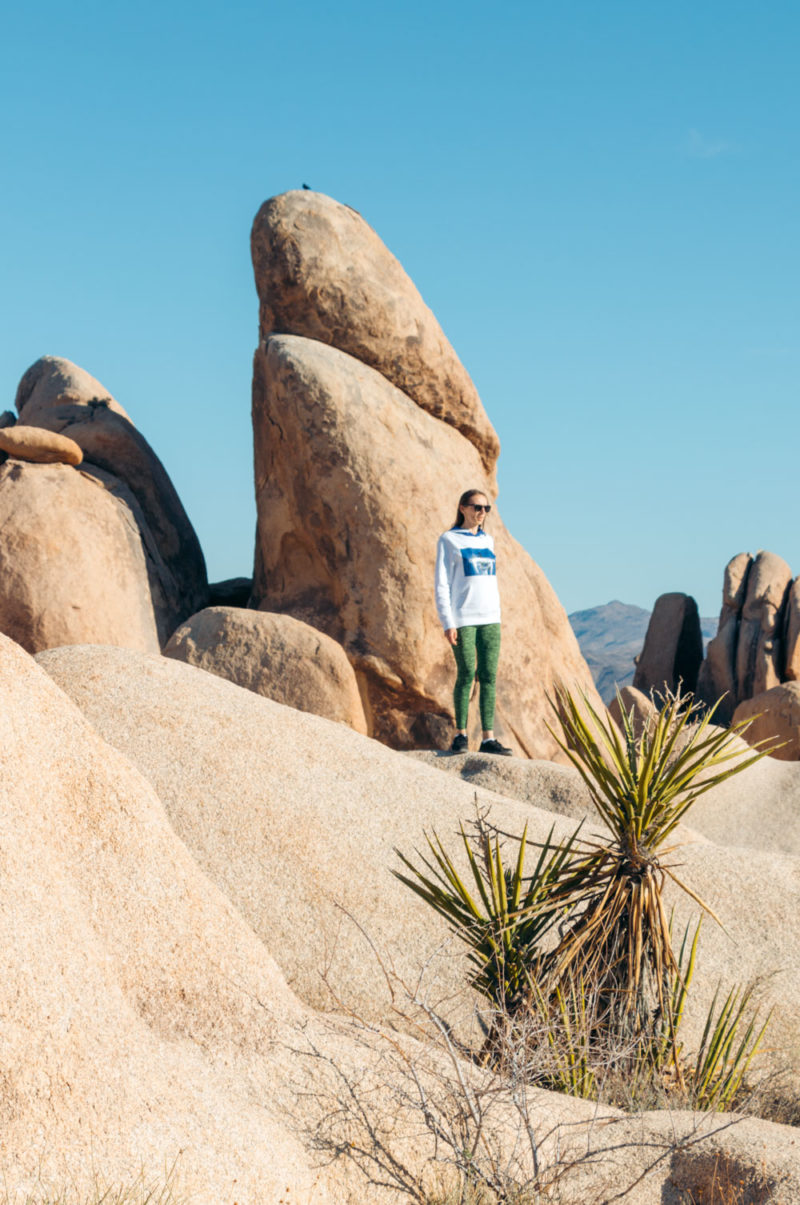 2 Day (Weekend) Trip to Joshua Tree National Park - Roads and Destinations