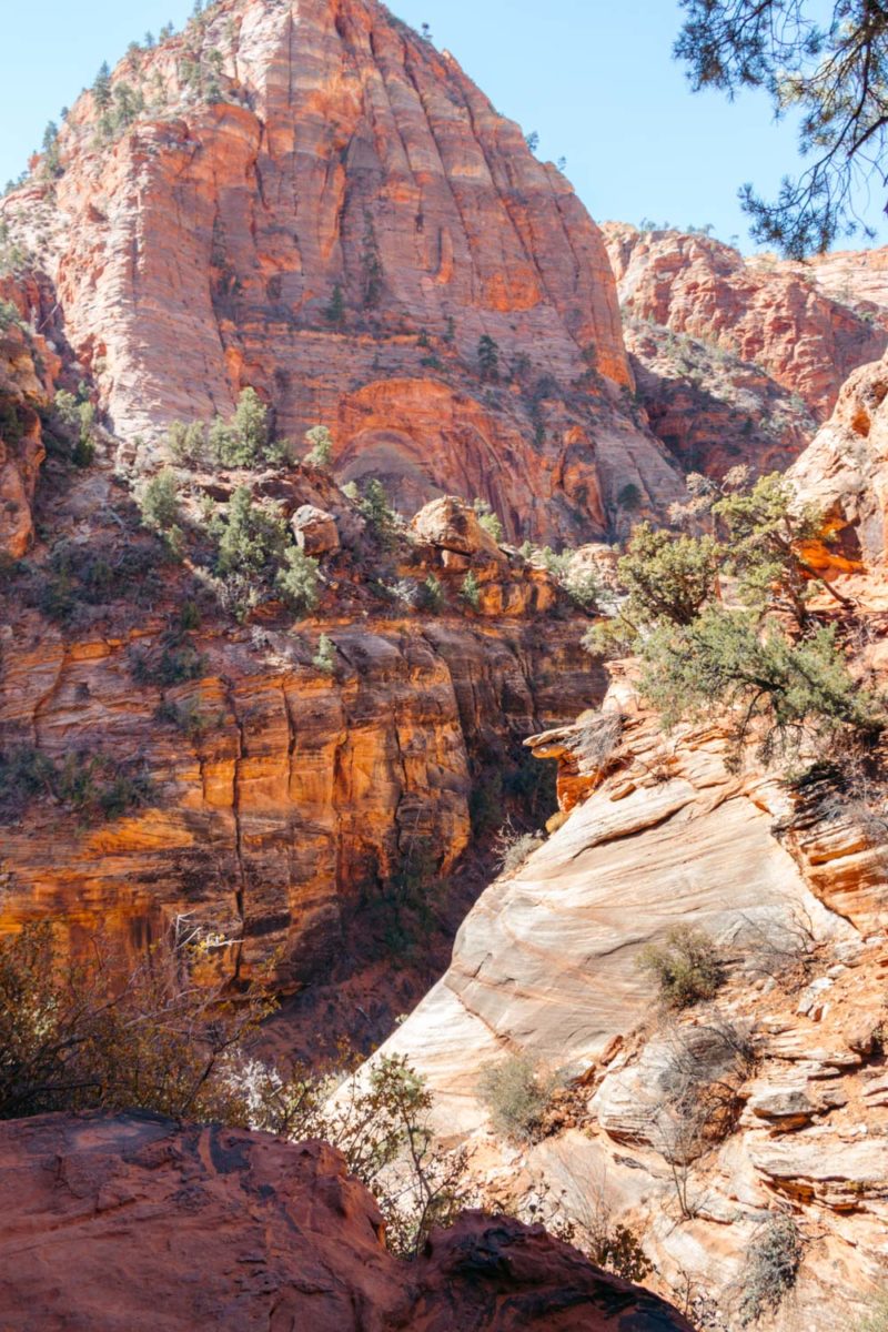 Zion Canyon Overlook: Canyon Overlook vs. Observation Point - Roads and ...