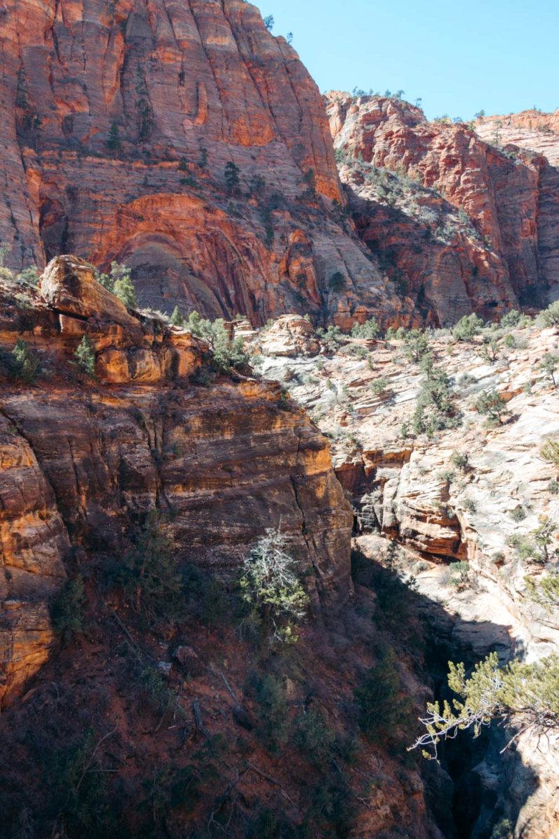 Zion Canyon Overlook: Canyon Overlook vs. Observation Point - Roads and ...