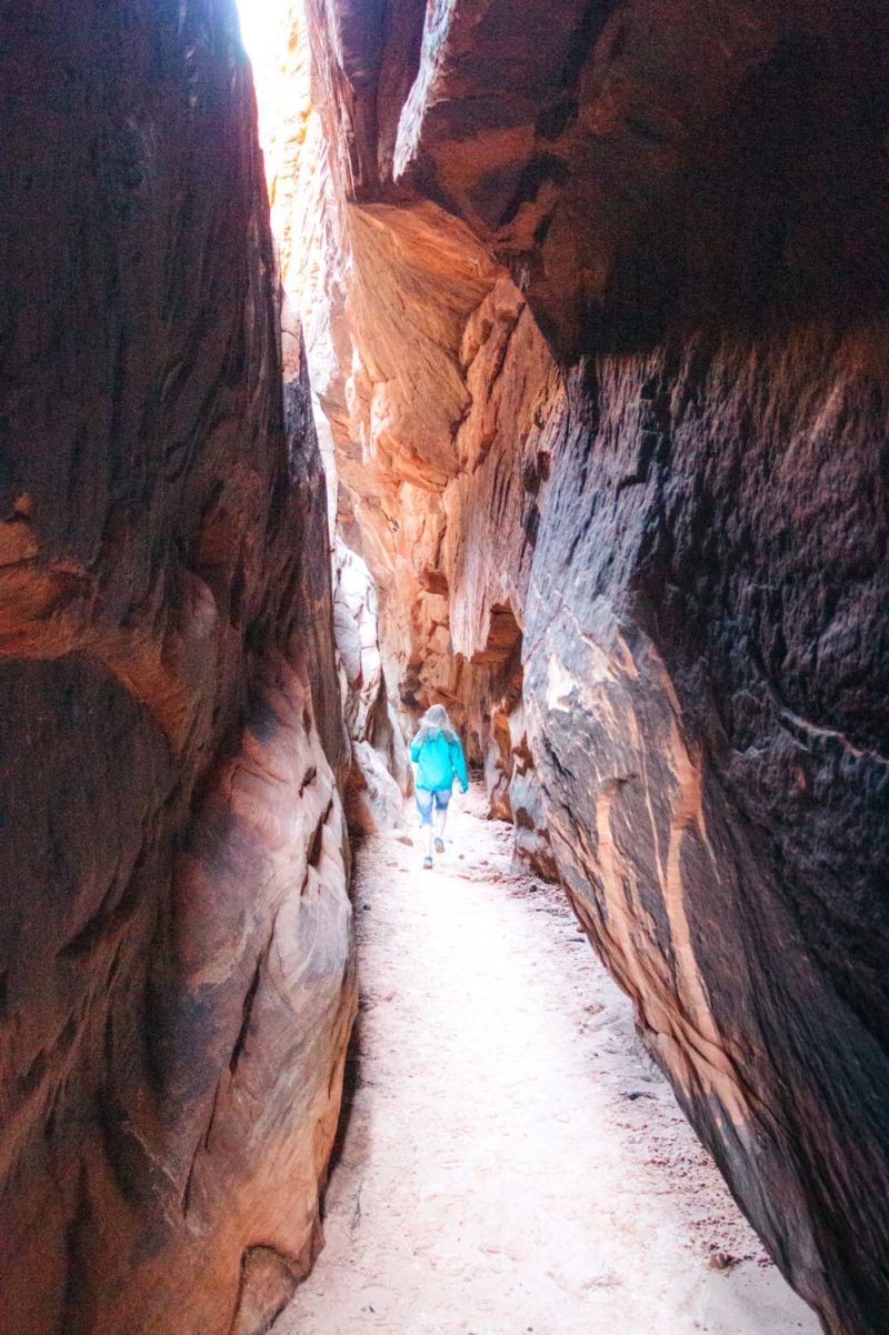 Shelf Canyon: A Secret Slot Canyon in Zion National Park - Roads and ...