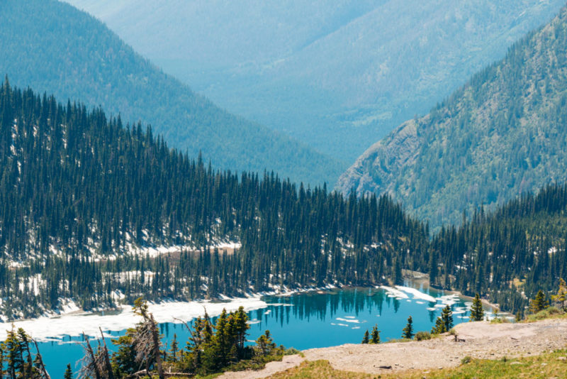 Hidden Lake Overlook Trail in Glacier National Park: Is It Worth It ...