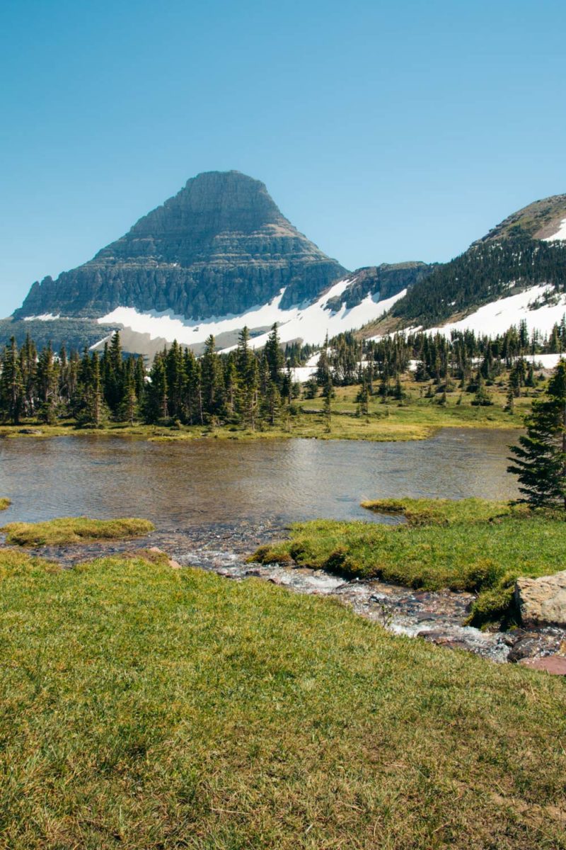 Hidden Lake Overlook Trail in Glacier National Park: Is It Worth It ...