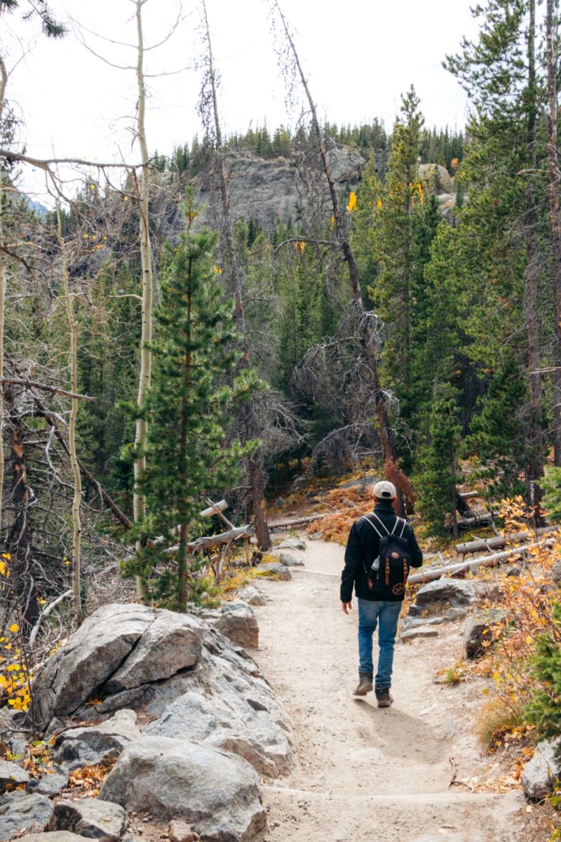 Alberta Falls Hike in Rocky Mountain National Park: 2 Trail Options ...