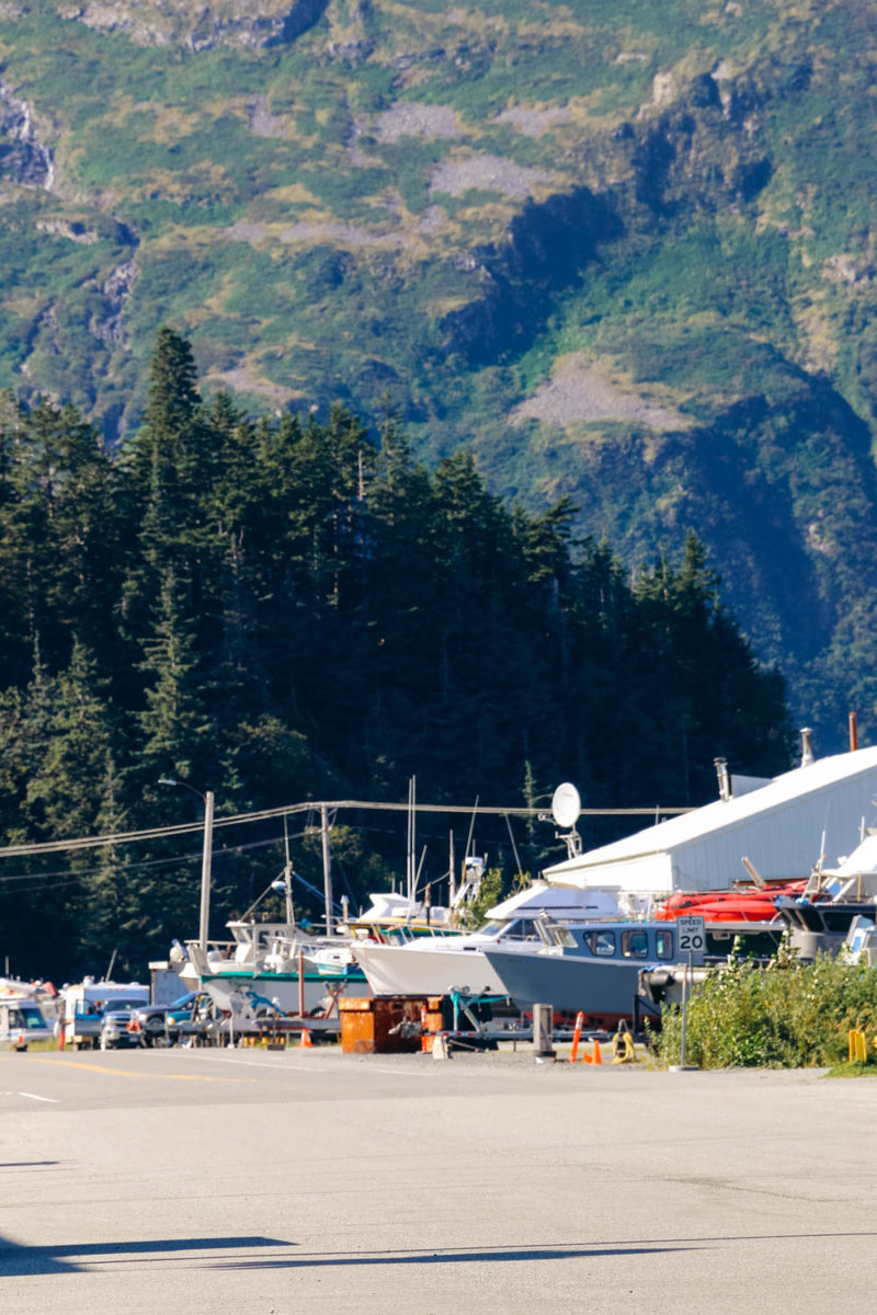 Anchorage to Seward: 10 Things to Do on the Seward Highway - Roads and ...