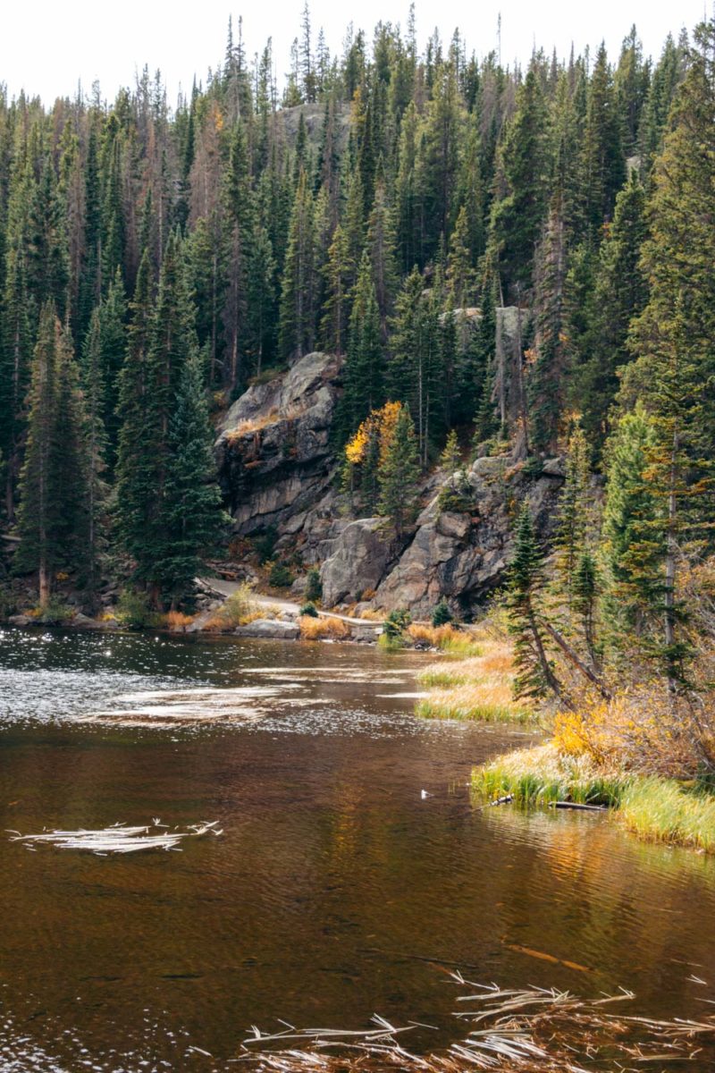 Bear Lake: A Crown Jewel of Rocky Mountain National Park - Roads and ...