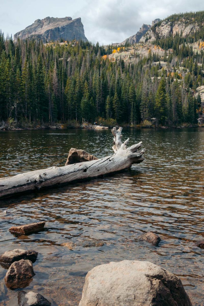 Bear Lake: A Crown Jewel of Rocky Mountain National Park - Roads and ...