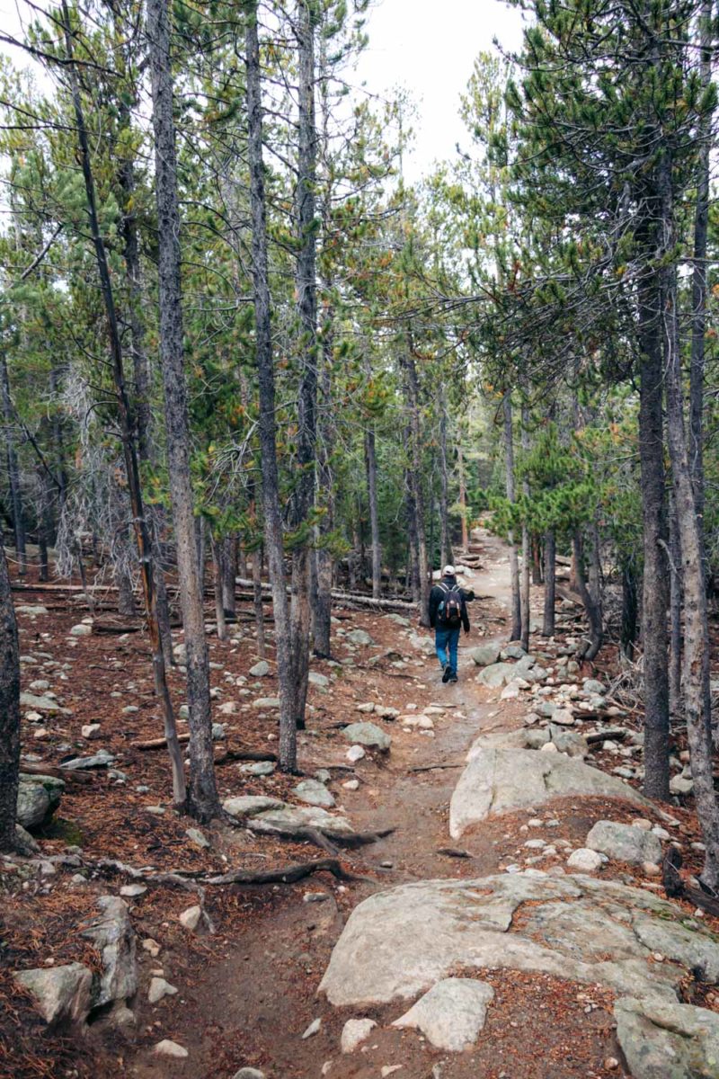 Hiking the Bierstadt Lake Trail (Bierstadt Lake Trailhead) - Roads and ...