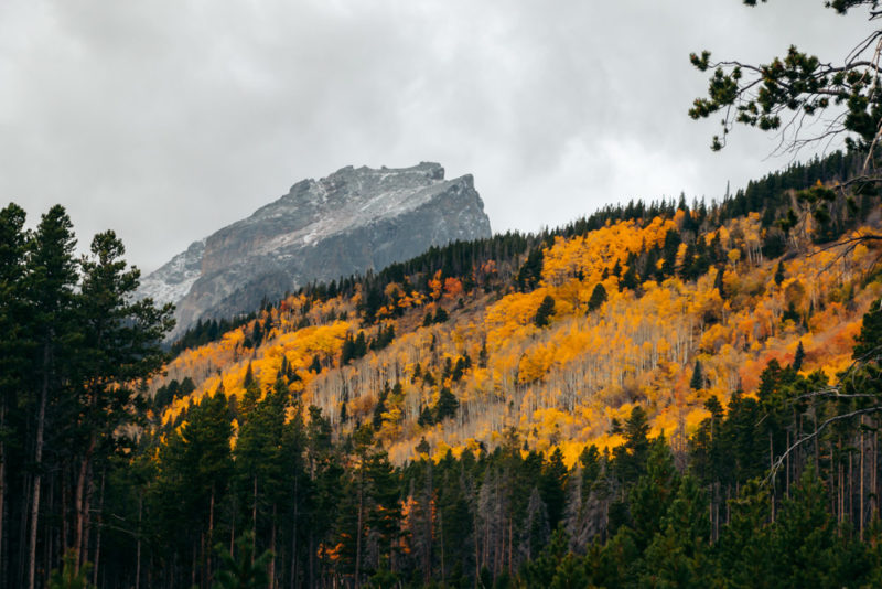 Hiking the Bierstadt Lake Trail (Bierstadt Lake Trailhead) - Roads and ...