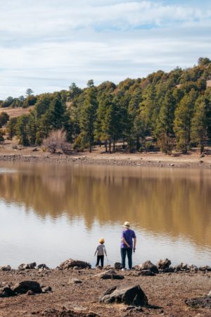 Top 8 Things to Do in Williams for Outdoor Lovers | Arizona - Roads and ...