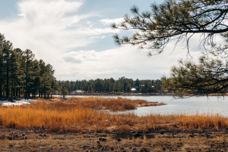 Top 8 Things to Do in Williams for Outdoor Lovers | Arizona - Roads and ...