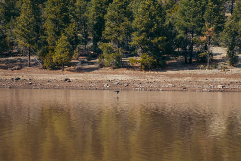 Top 8 Things to Do in Williams for Outdoor Lovers | Arizona - Roads and ...