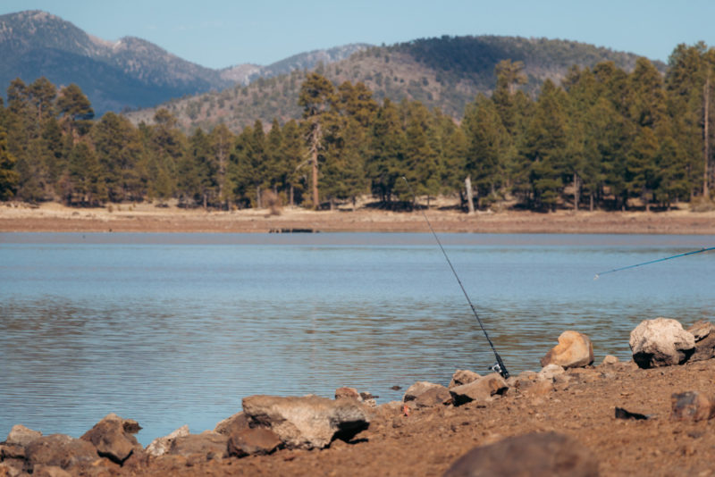 Top 8 Things to Do in Williams for Outdoor Lovers | Arizona - Roads and ...