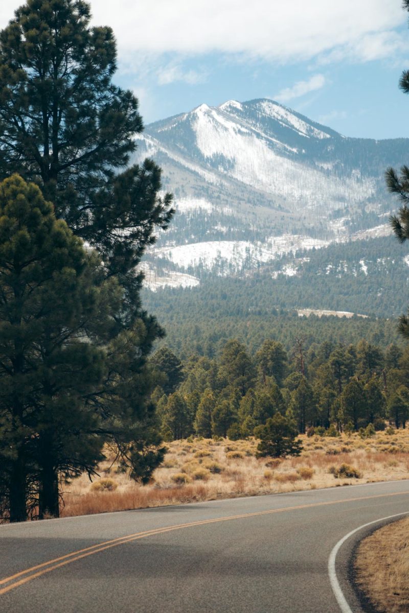 9 Things to Do in Flagstaff for Outdoor Lovers | Arizona - Roads and ...