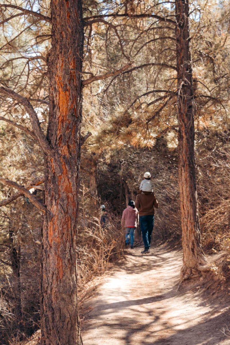 The Mossy Cave Trail: A Secret Hike in Bryce Canyon, Utah - Roads and ...