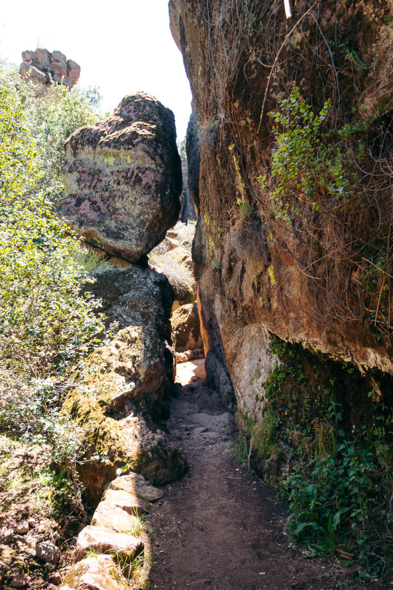 Bear Gulch Cave: Talus Cave Hike in Pinnacles National Park - Roads and Destinations