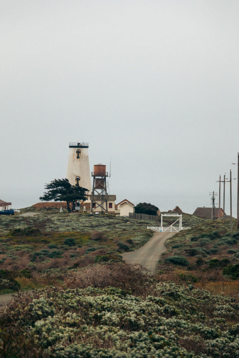11 Reasons to Visit San Simeon: The Best Things to Do - Roads and ...