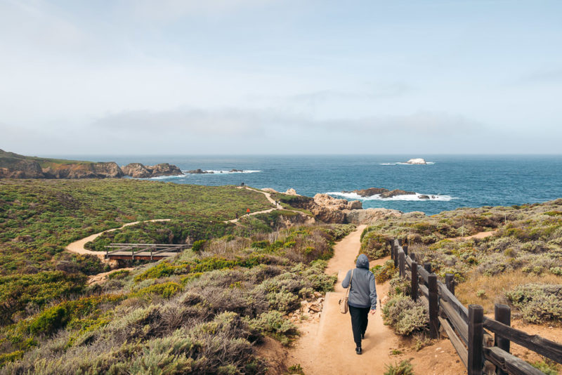 How to Hike Soberanes Point-Whale Peak Trail in Garrapata Park - Roads ...
