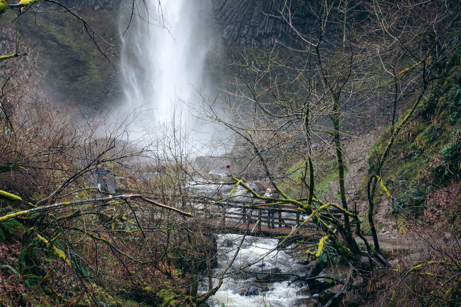 How to Visit Latourell Falls in Oregon (+Photos) - Roads and Destinations