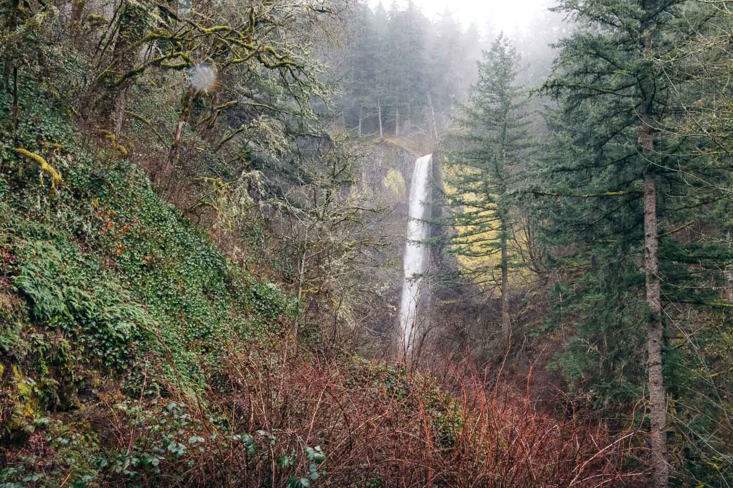 How to Visit Latourell Falls in Oregon (+Photos) - Roads and Destinations