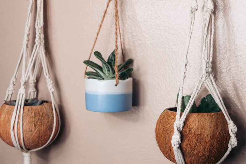 Spruce up Your Home with Tropical Coconut Pots - Roads and Destinations