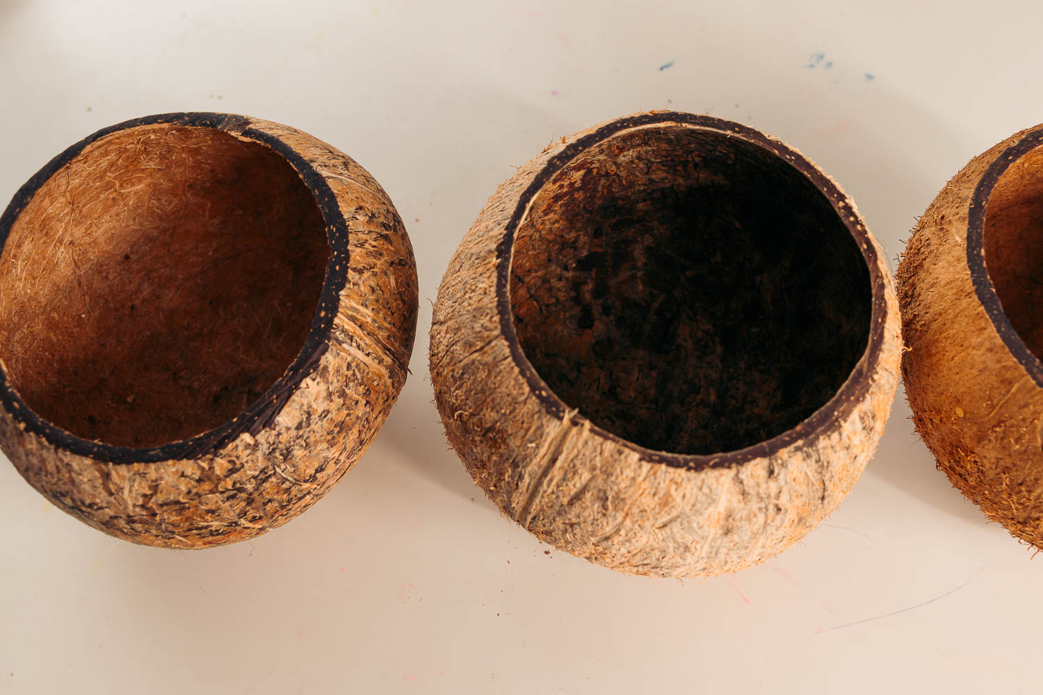 Spruce up Your Home with Tropical Coconut Pots - Roads and Destinations