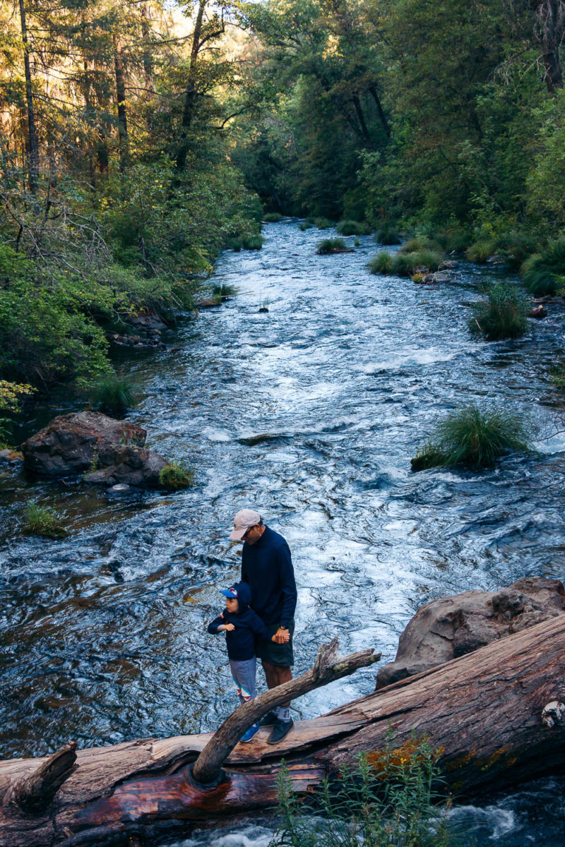 Visit Burney Falls, California: Loop Trail Hike and Photos - Roads and ...