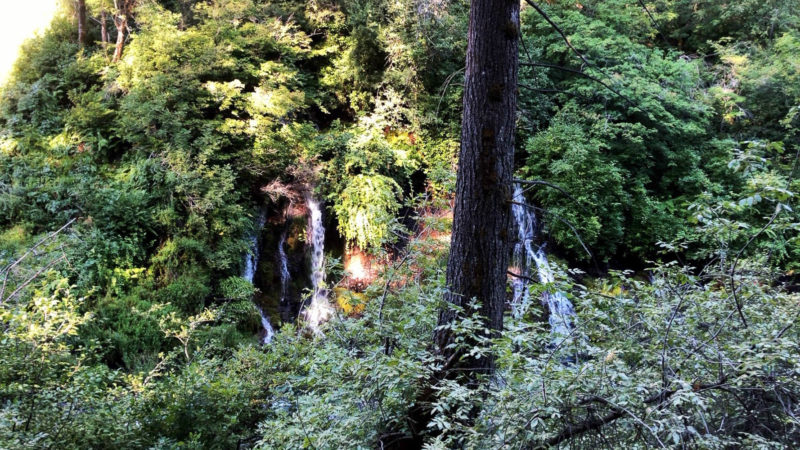 Visit Burney Falls, California: Loop Trail Hike and Photos - Roads and ...