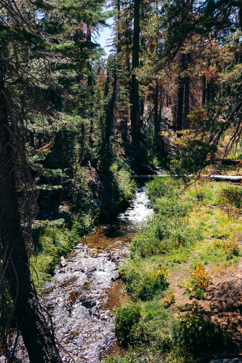 Hiking to Kings Creek Falls in Lassen Volcanic National Park - Roads ...