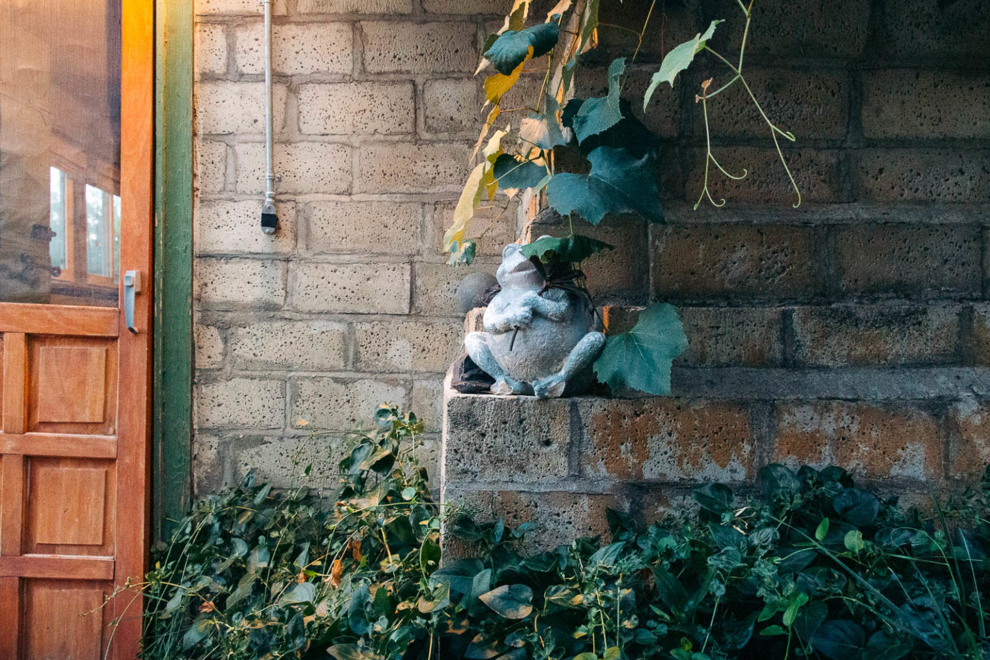 Inside the Rustic Mott’s Cottage in Fall River Mills, California - Roads and Destinations