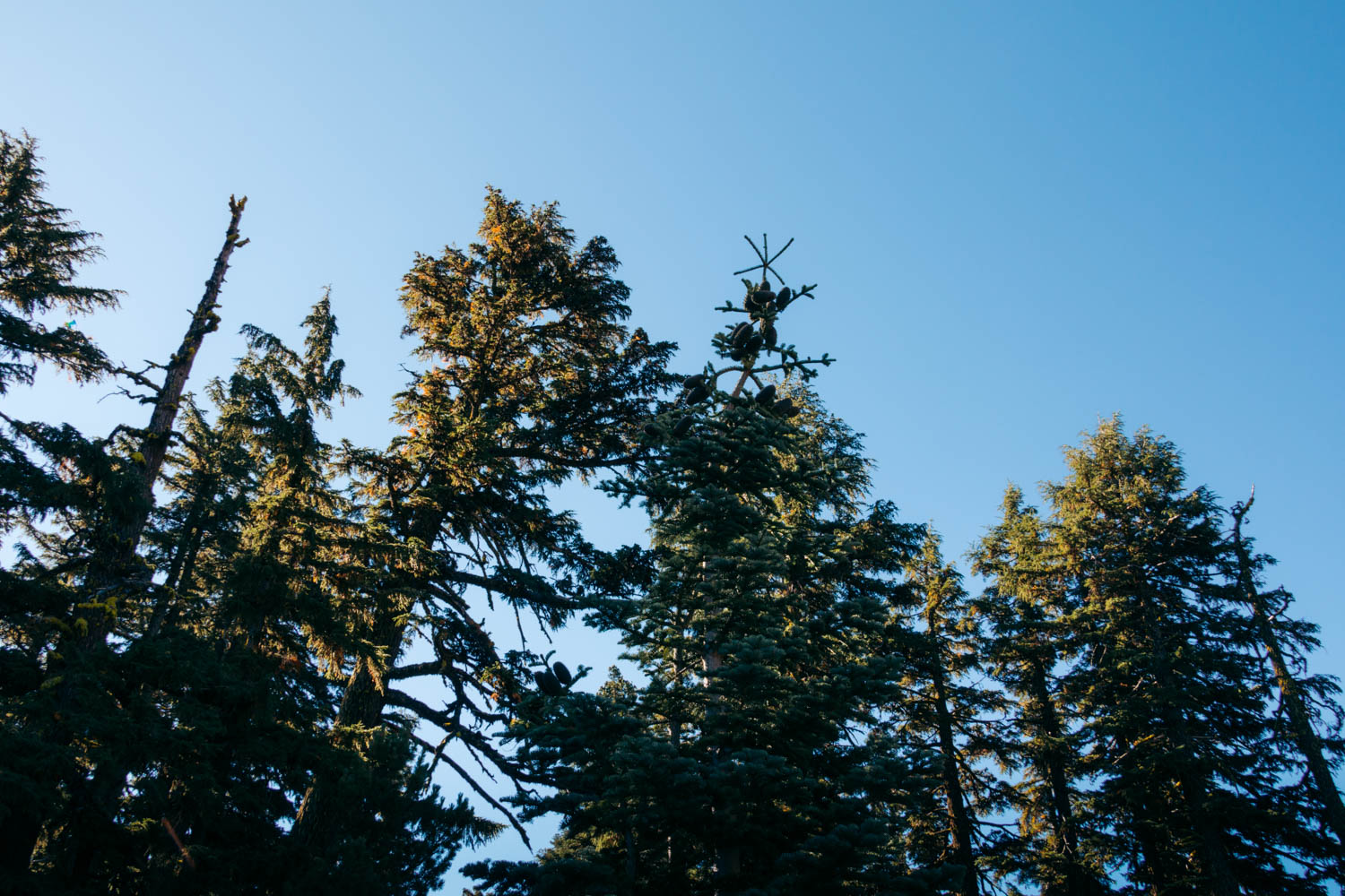 Hiking the Sun Notch Trail in Crater Lake National Park, Oregon - Roads ...