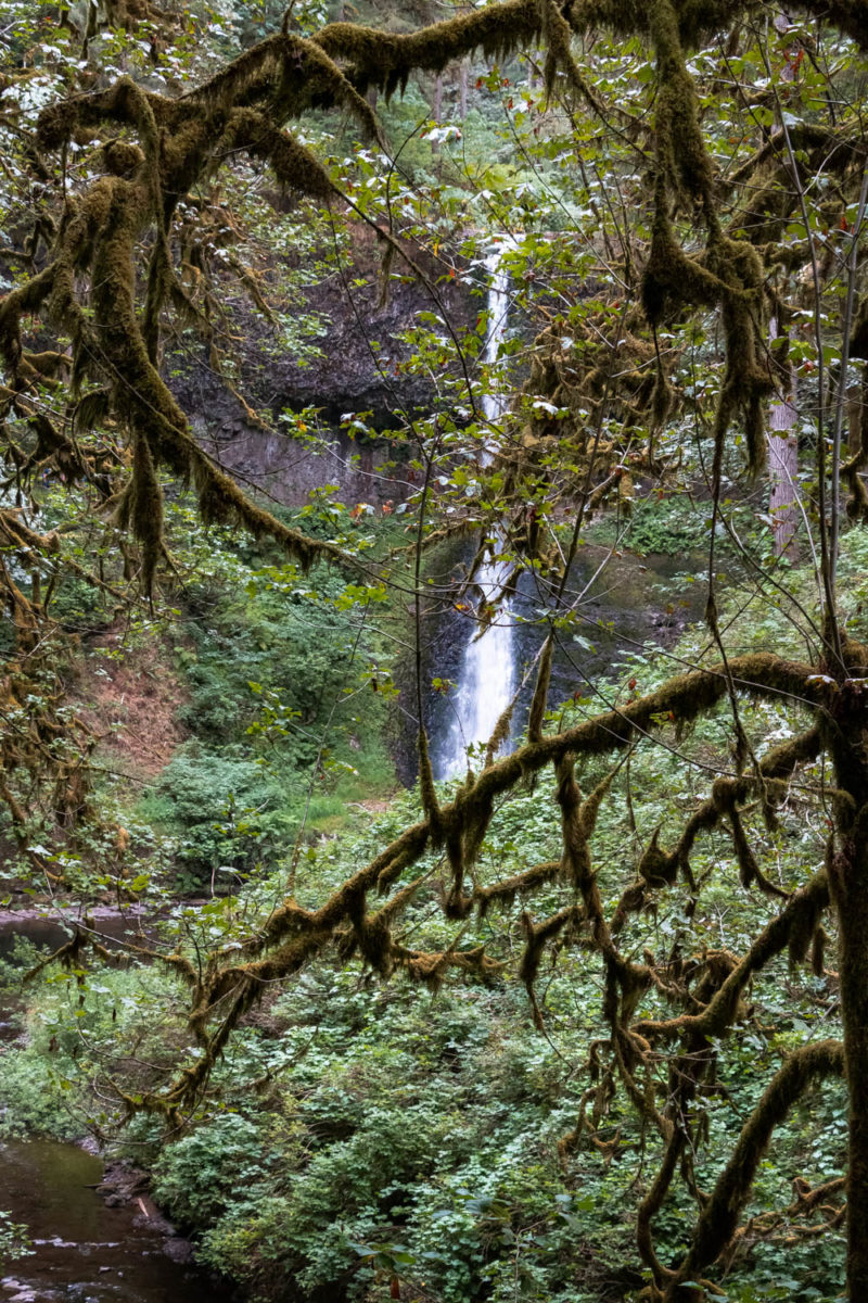 The Trail of Ten Falls in Silver Falls: Oregon's Best Waterfall Hike ...