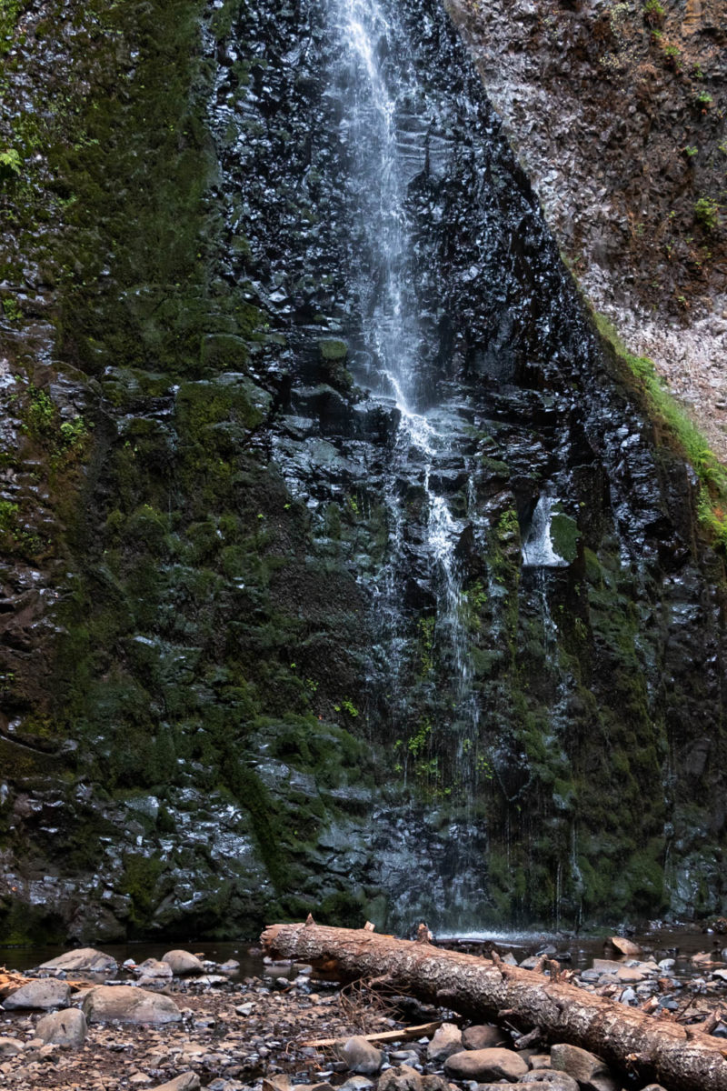 The Trail of Ten Falls in Silver Falls: Oregon's Best Waterfall Hike ...