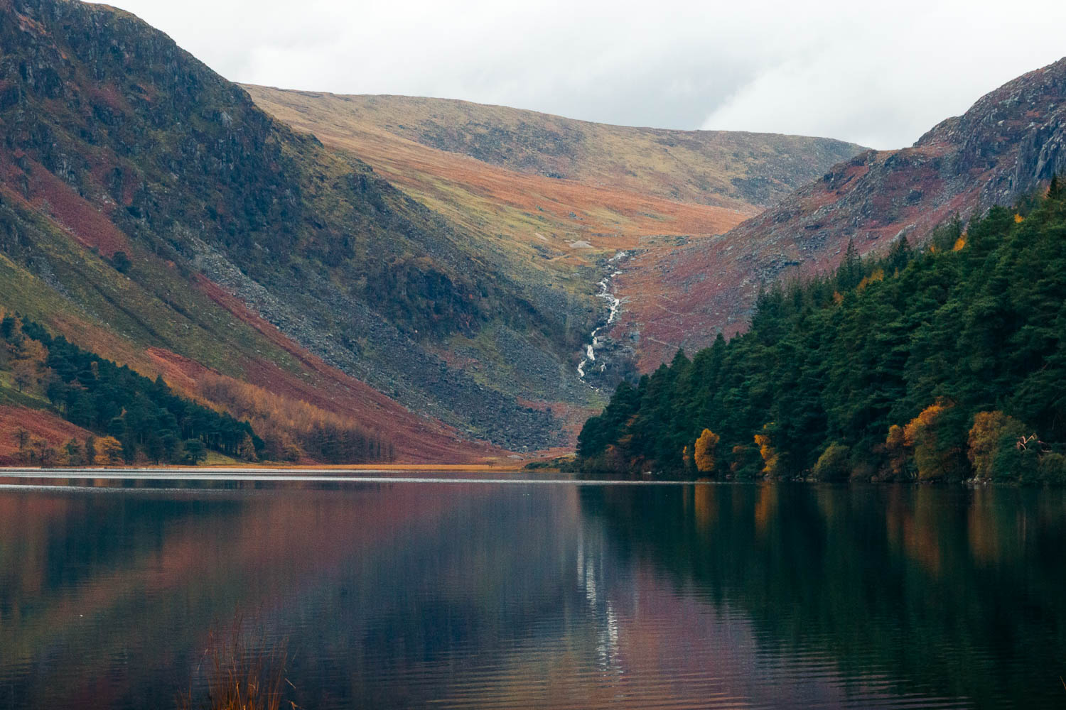 Forty Shades of Green: Irish Landscapes in Photos - Roads and Destinations