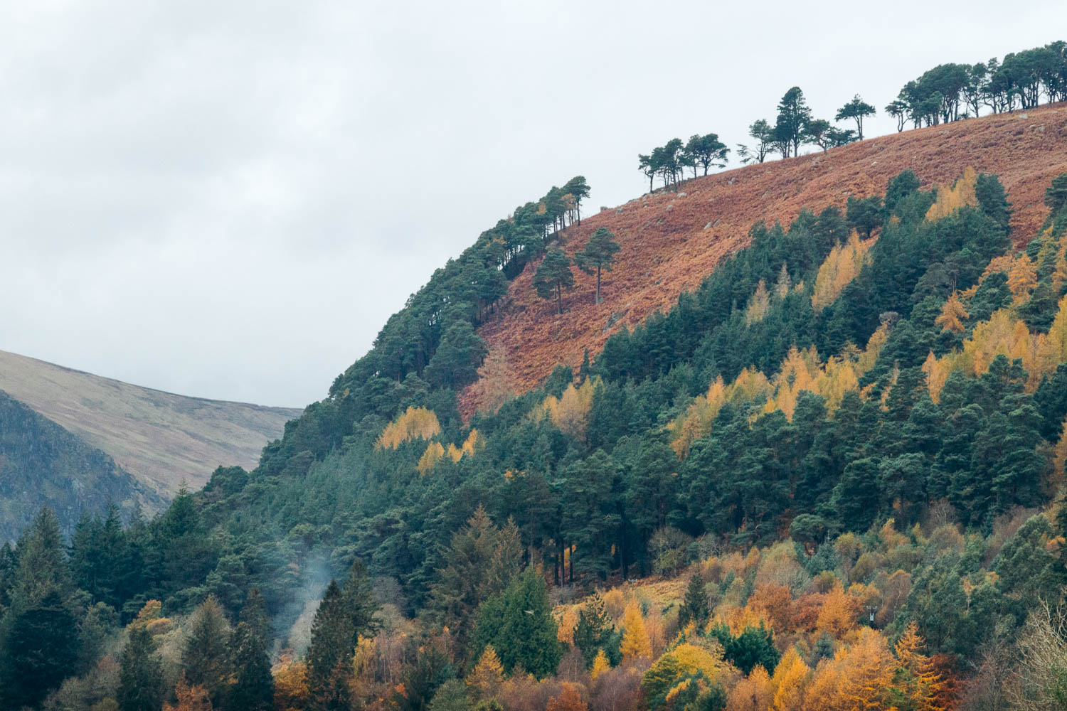 Forty Shades of Green: Irish Landscapes in Photos - Roads and Destinations